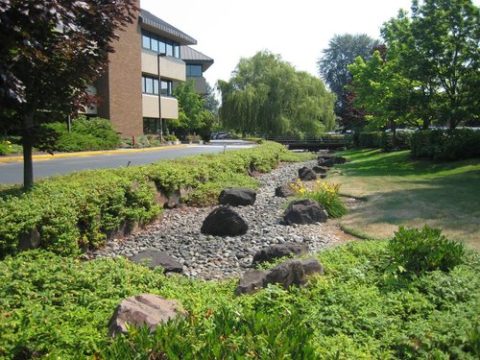 Bioswale Remediation - River City Environmental